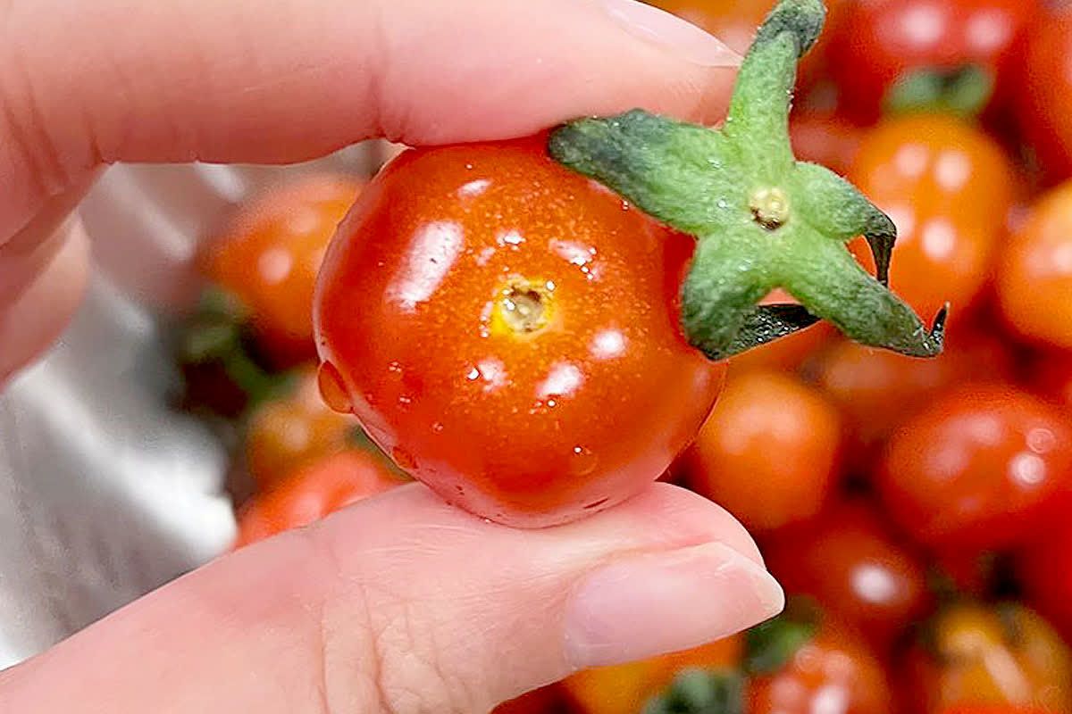 Cherry Tomatoes Stay Fresh for a Week with This Storage Hack