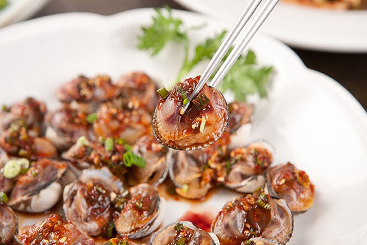 10 Interesting Facts You Must Know About Blood Clams: Benefits vs. Risks