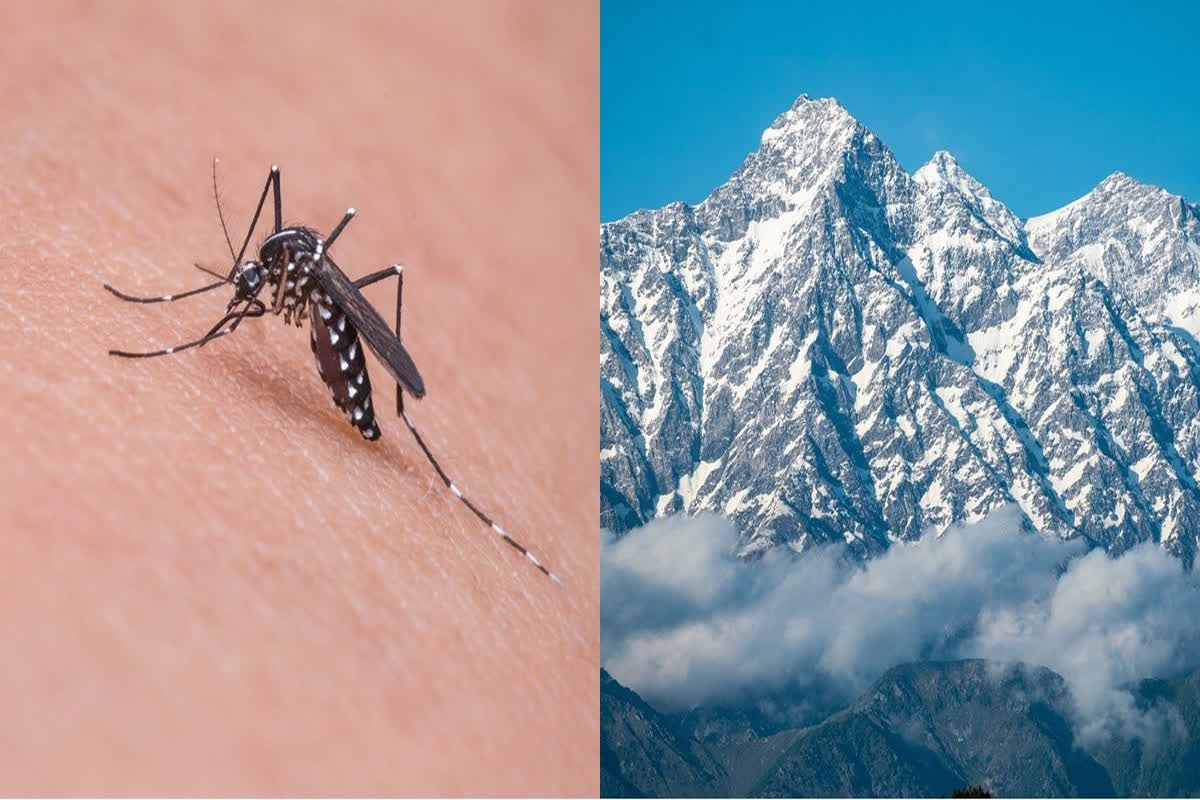 Himalayas Witness Mosquito Surge as Global Warming Takes Its Toll