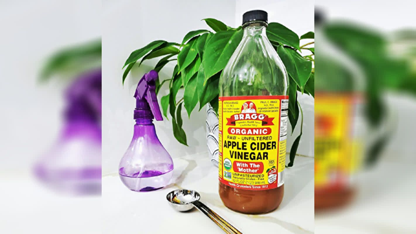 Daily Apple Cider Vinegar Intake Could Lead to Significant Weight Loss