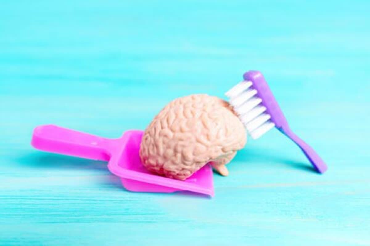 Why Your Brain Works Better Without Sleep, New Research Rocks Neuroscience