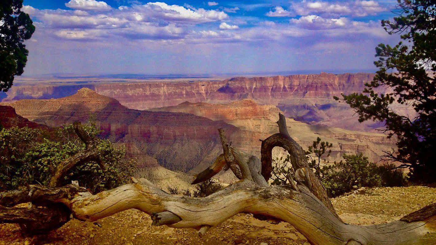 Unlock the Scenic Views: North Rim Accessible by Car for Limited Time!