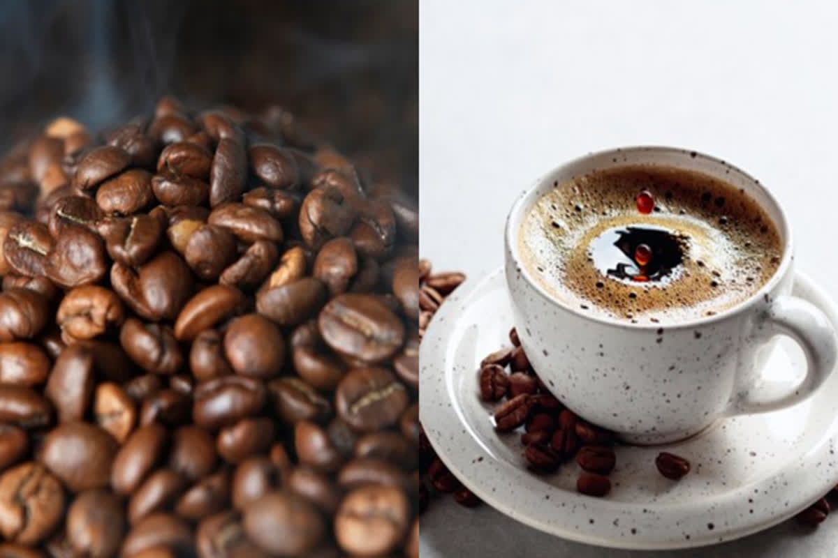 10 Interesting Facts About Coffee: How a Simple Bean Became a Worldwide ...