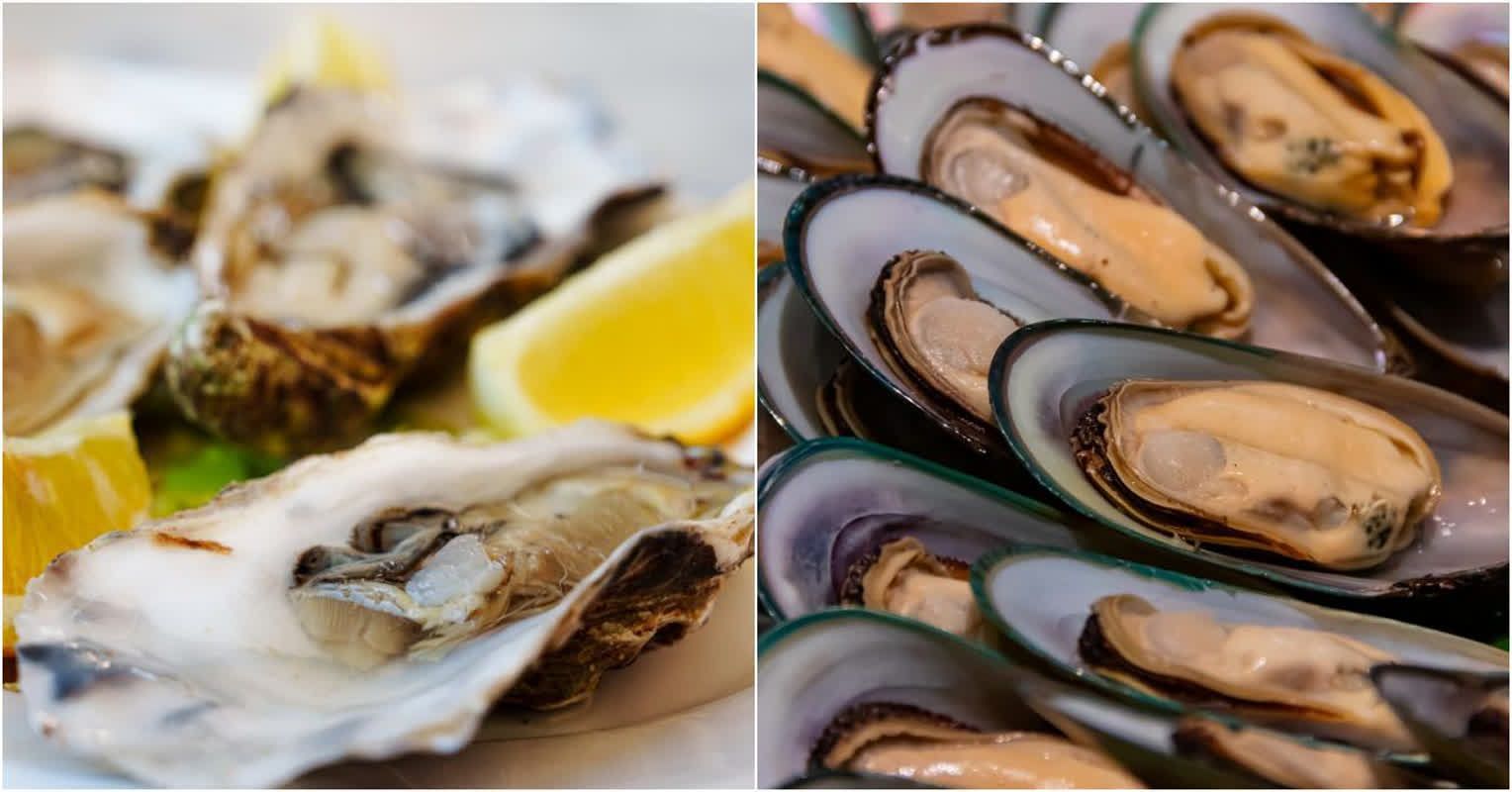 WATCH OUT! Alarming Study Reveals Fiberglass in Oysters and Mussels