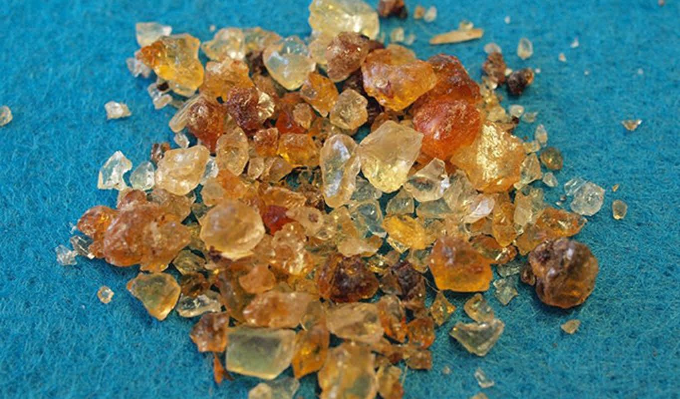 Gum's Secret Ingredient Exposed: How Petroleum Powers Your Chew