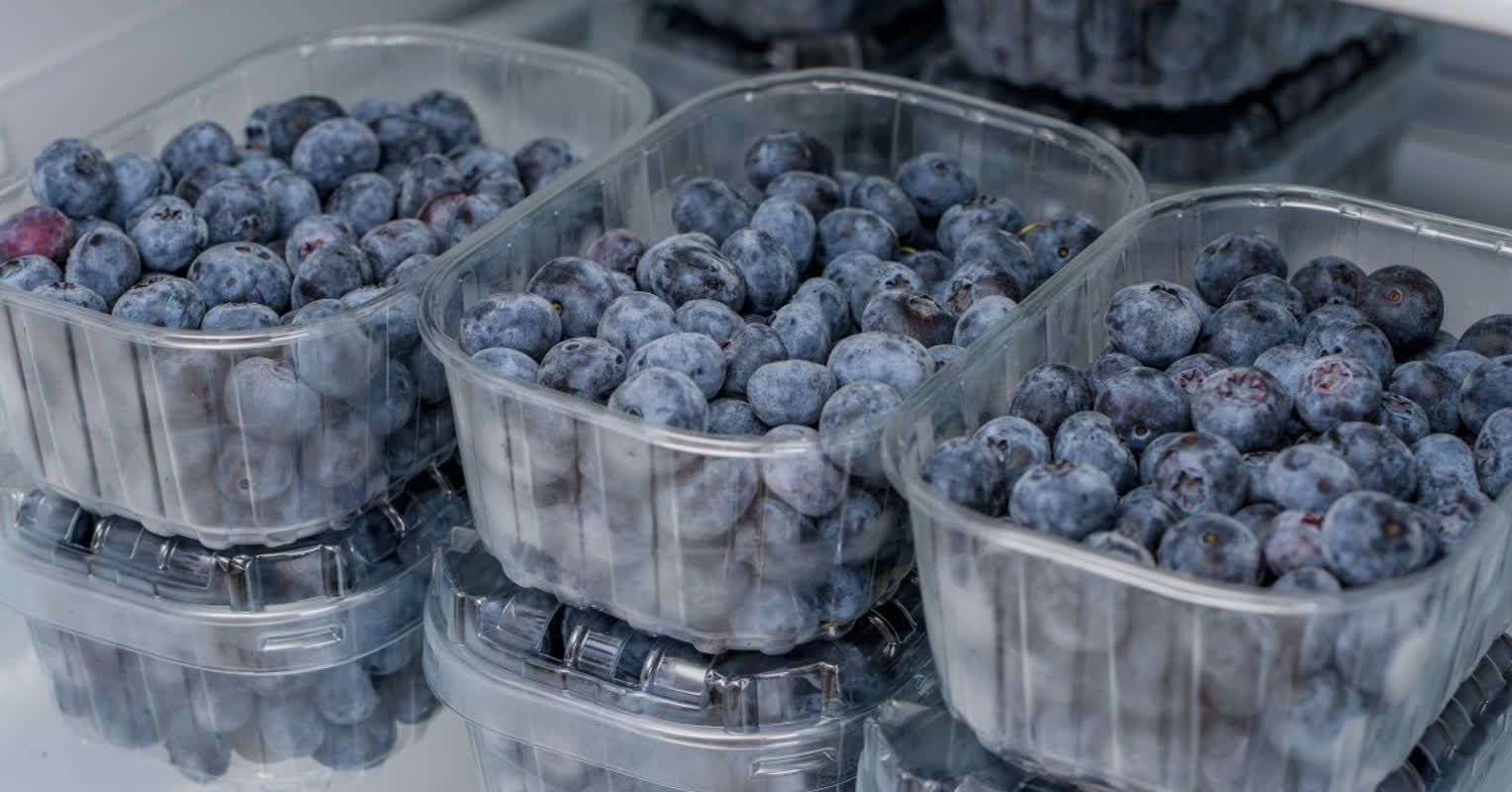 Want Blueberries That Keep Their Nutritional Value? Here’s the Perfect ...