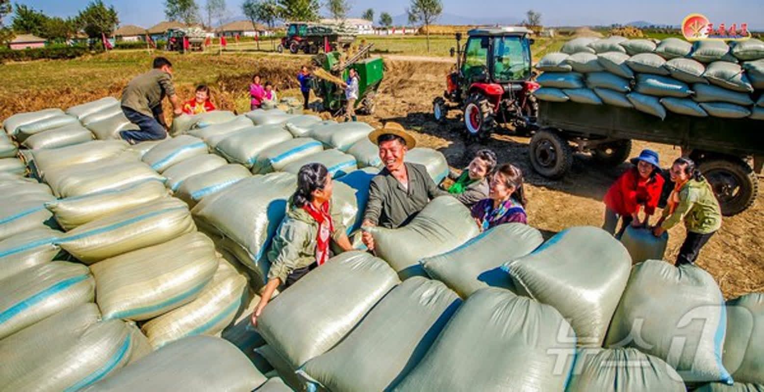 North Korea Celebrates Grain Success, But FAO Lists It Among Hungry Nations