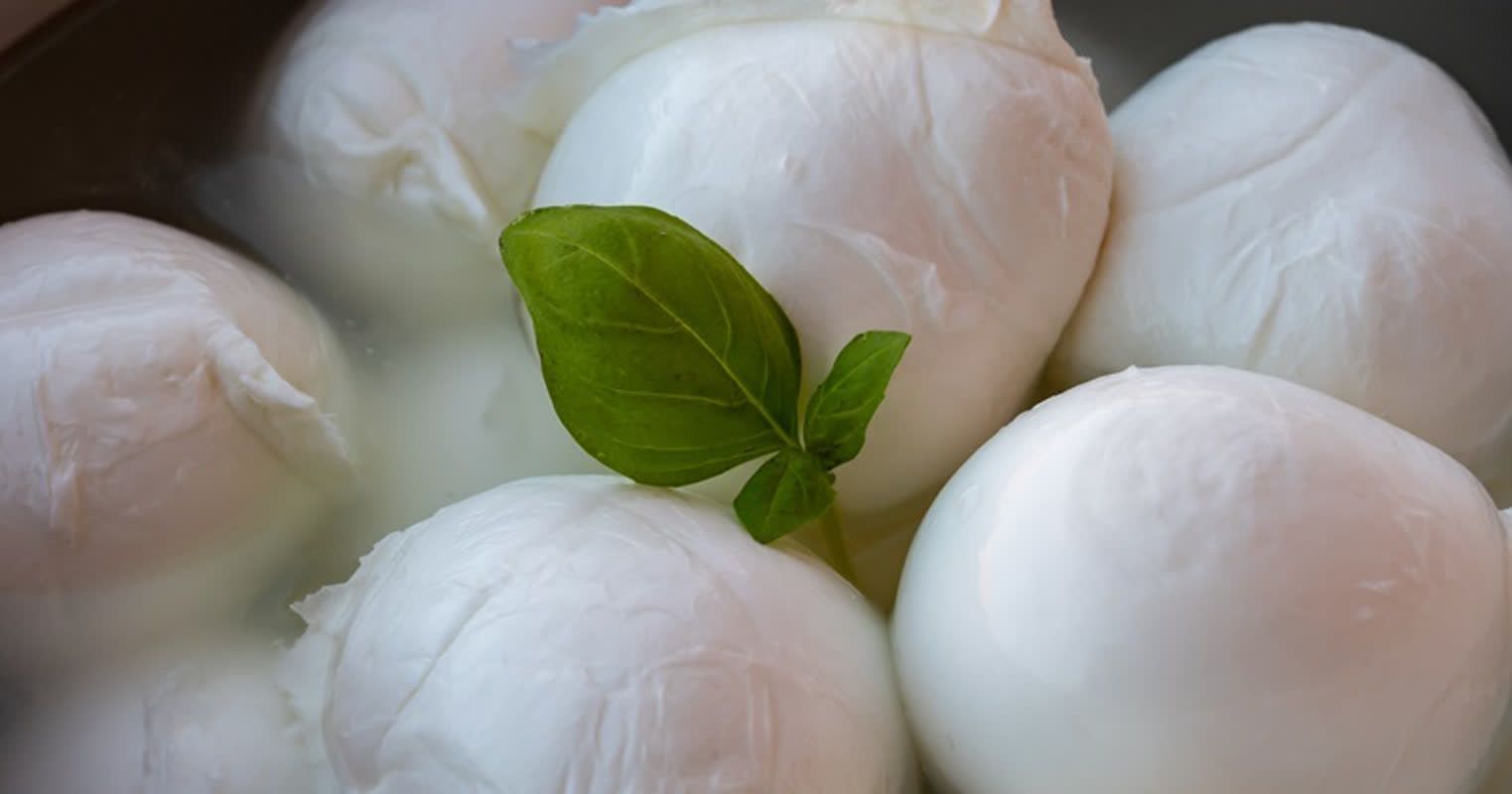 Craving Cheese? Top 4 Low-Calorie Options Keep You on Track